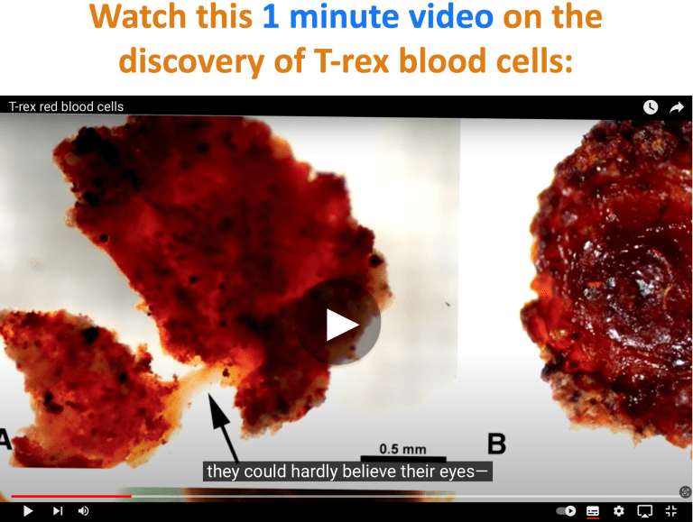 Dinosaurs of Eden – Art inspired by dragon legends, soft-tissue fossils ...